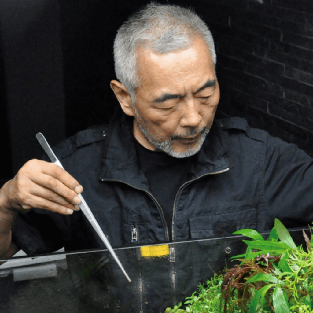 ADA India Homepage | Still Water Aquatics - ADA India
