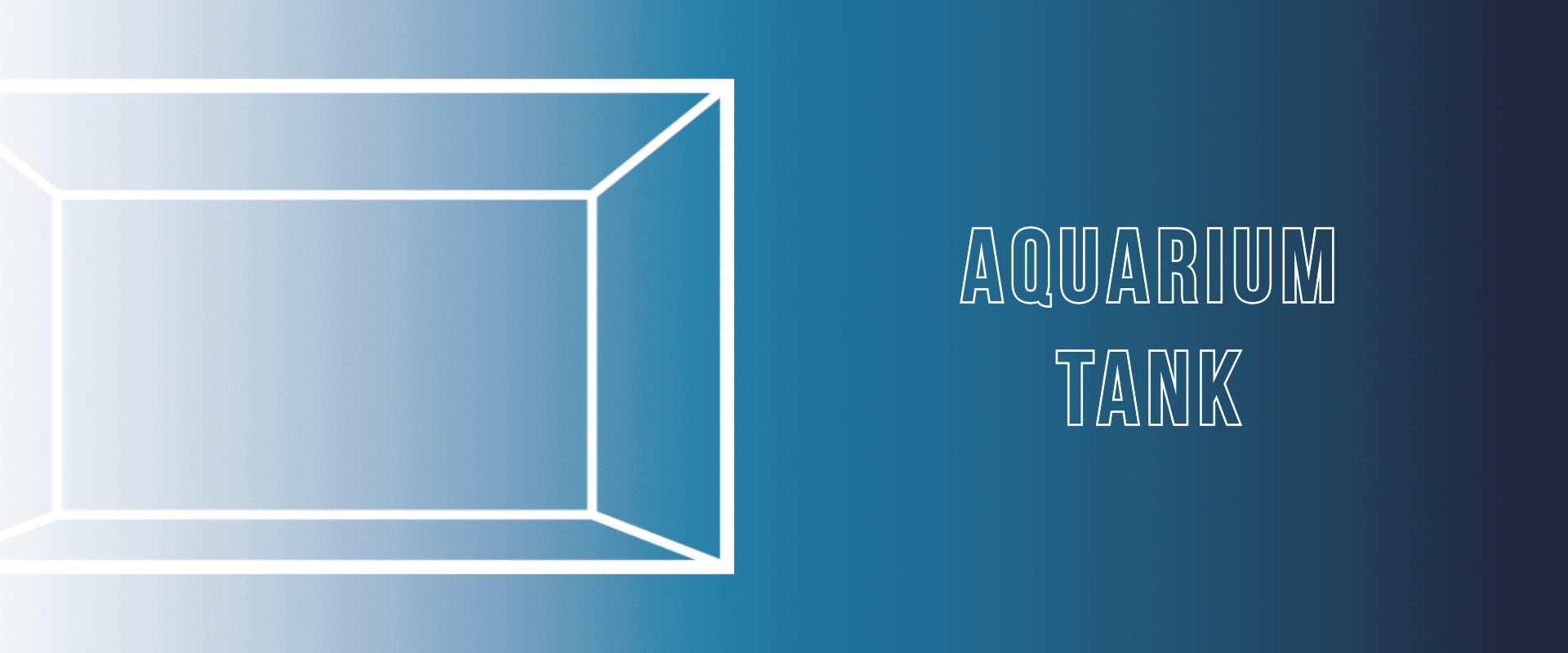 Aquarium Tanks India | Glass Fish Tanks & Planted Aquariums - ADA India