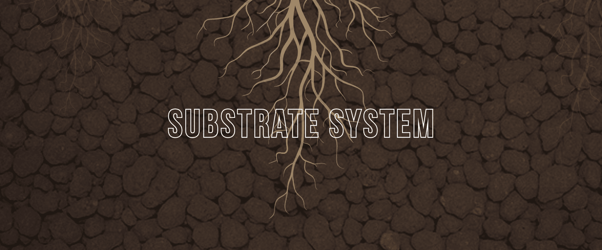 Aquarium Substrate System Buy Online | Aquarium Soil India - ADA India